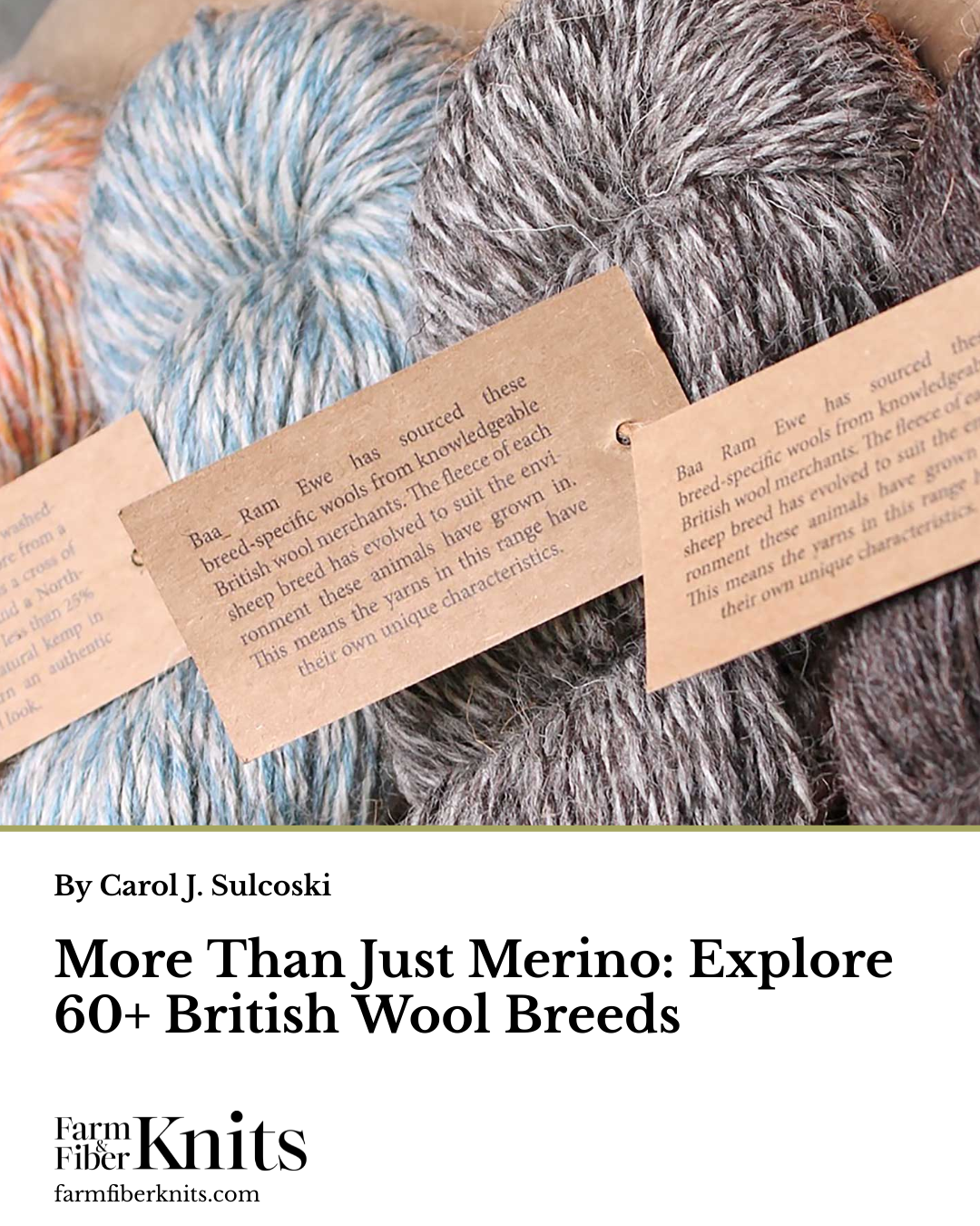 More Than Just Merino: Explore 60+ British Wool Breeds | Farm & Fiber Knits