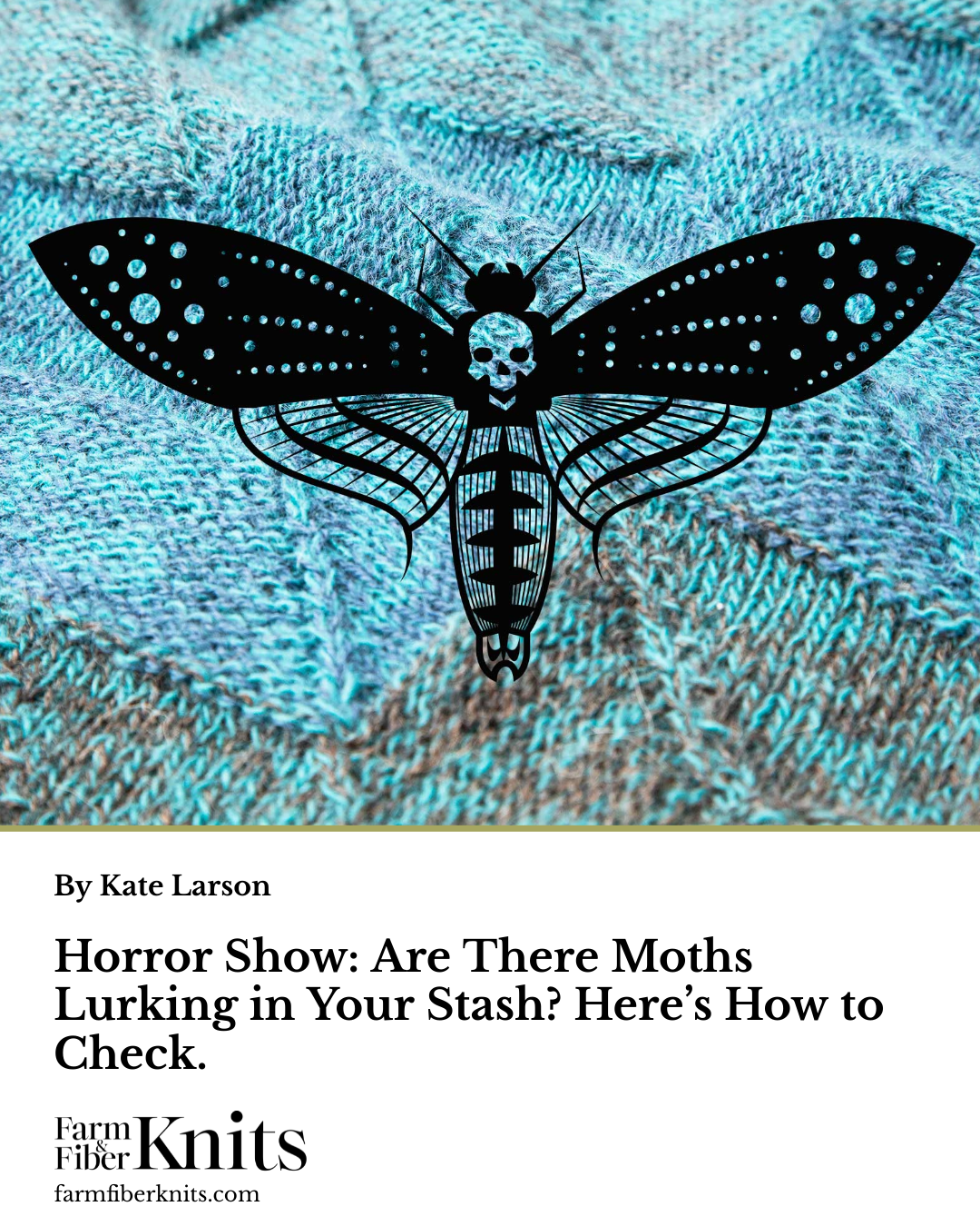 Horror Show: Are There Moths Lurking in Your Stash? Here’s How to Check ...