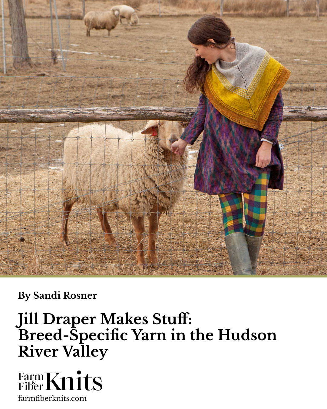 Jill Draper Makes Stuff: Breed-Specific Yarn in the Hudson River Valley ...
