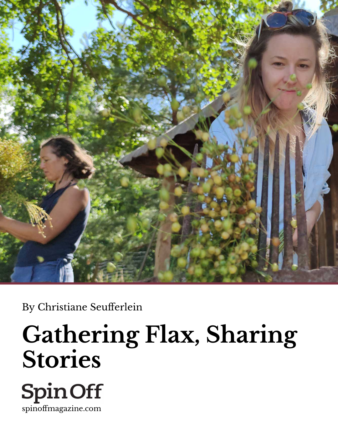 Gathering Flax, Sharing Stories | Spin Off