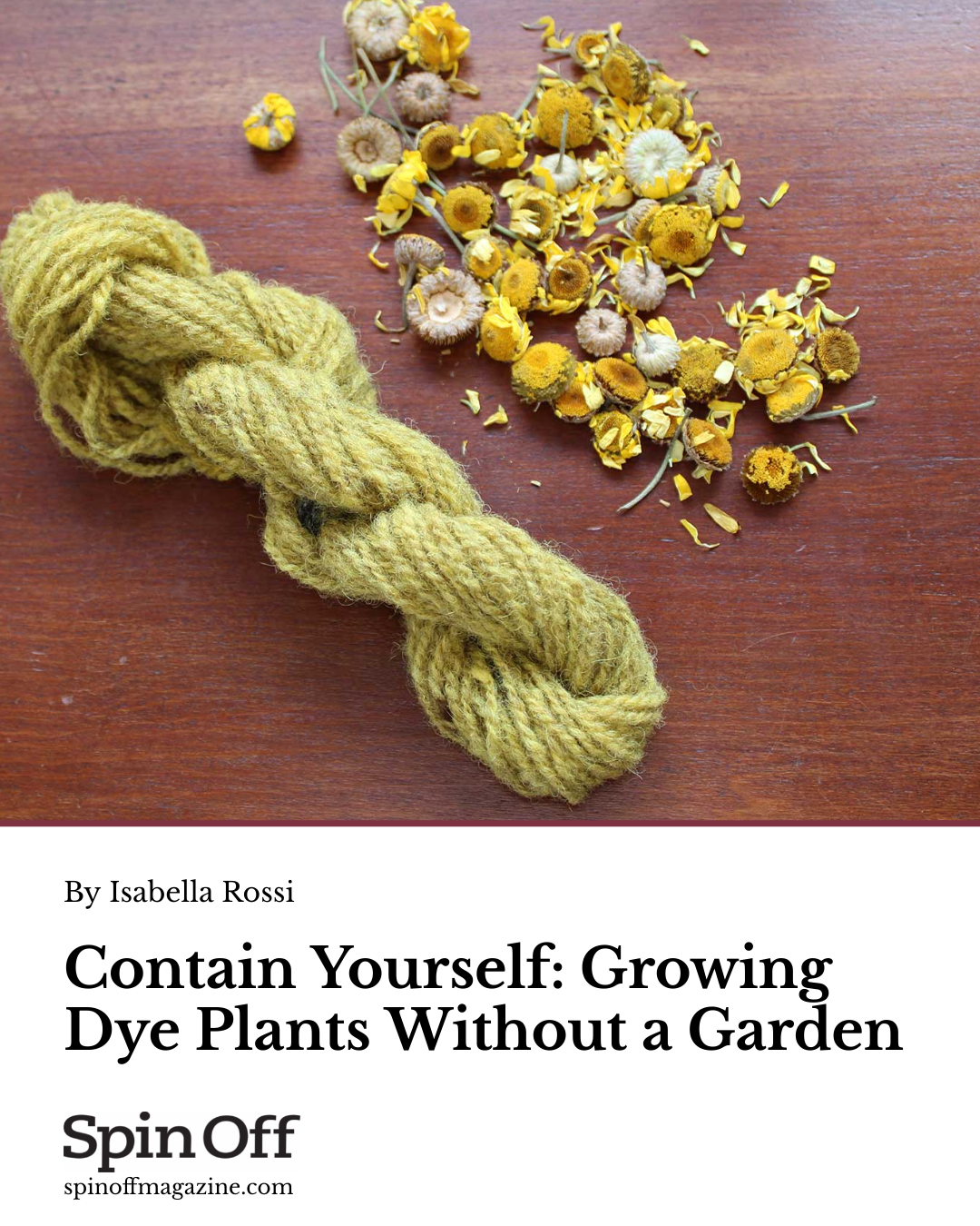 Contain Yourself: Growing Dye Plants Without a Garden | Spin Off