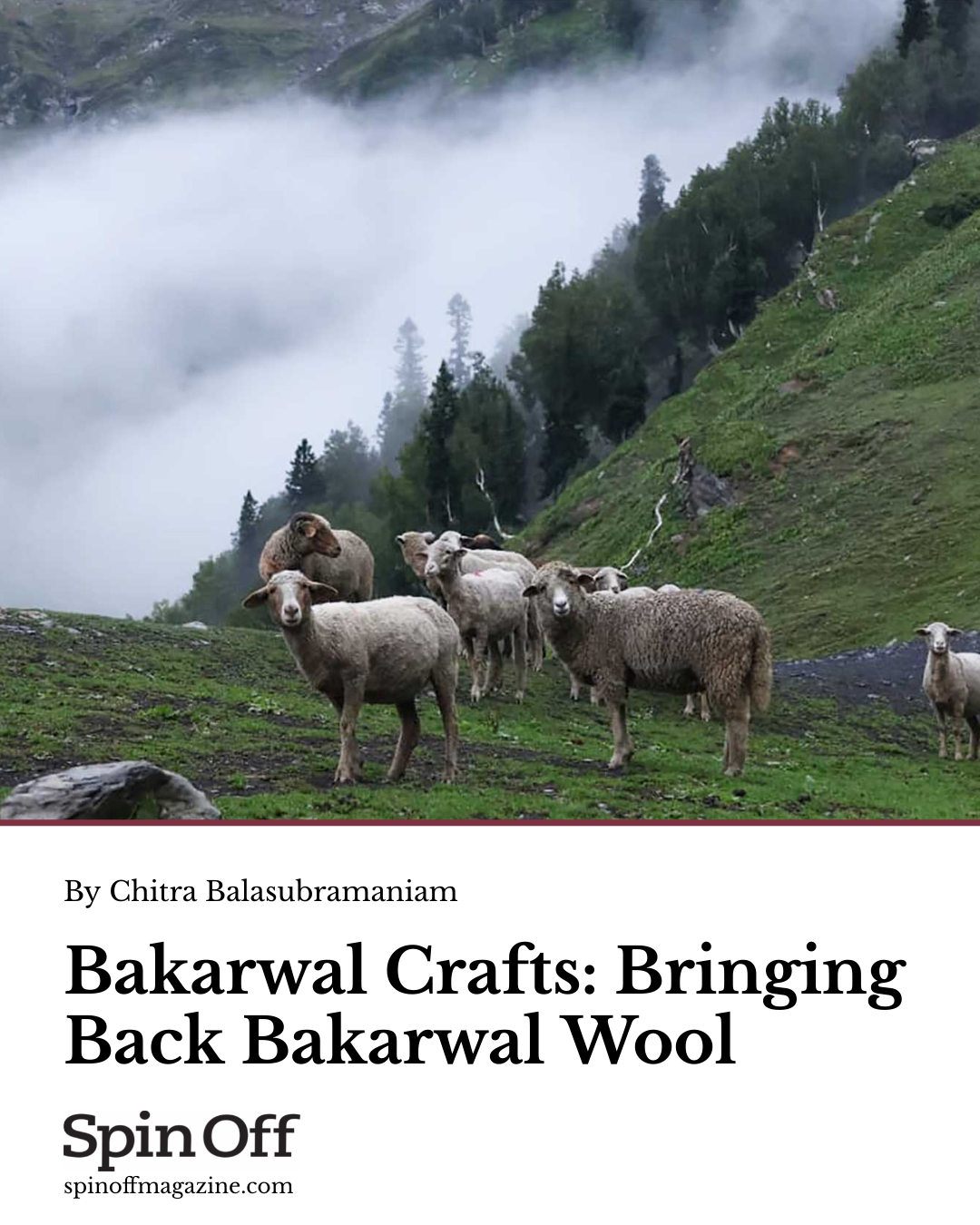 Bakarwal Crafts: Bringing Back Bakarwal Wool | Spin Off