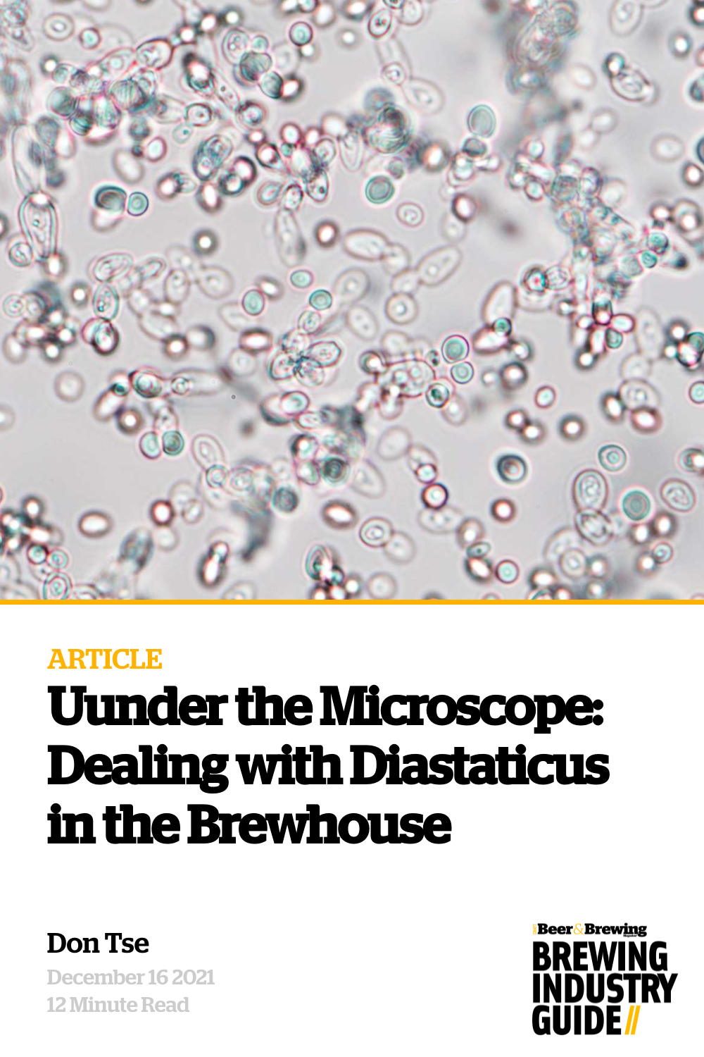 Under the Microscope: Dealing with Diastaticus in the Brewhouse ...