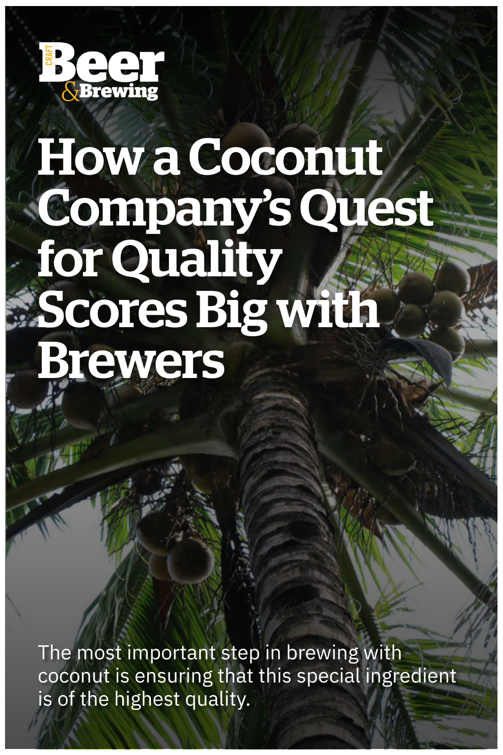 How a Coconut Company’s Quest for Quality Scores Big with Brewers ...