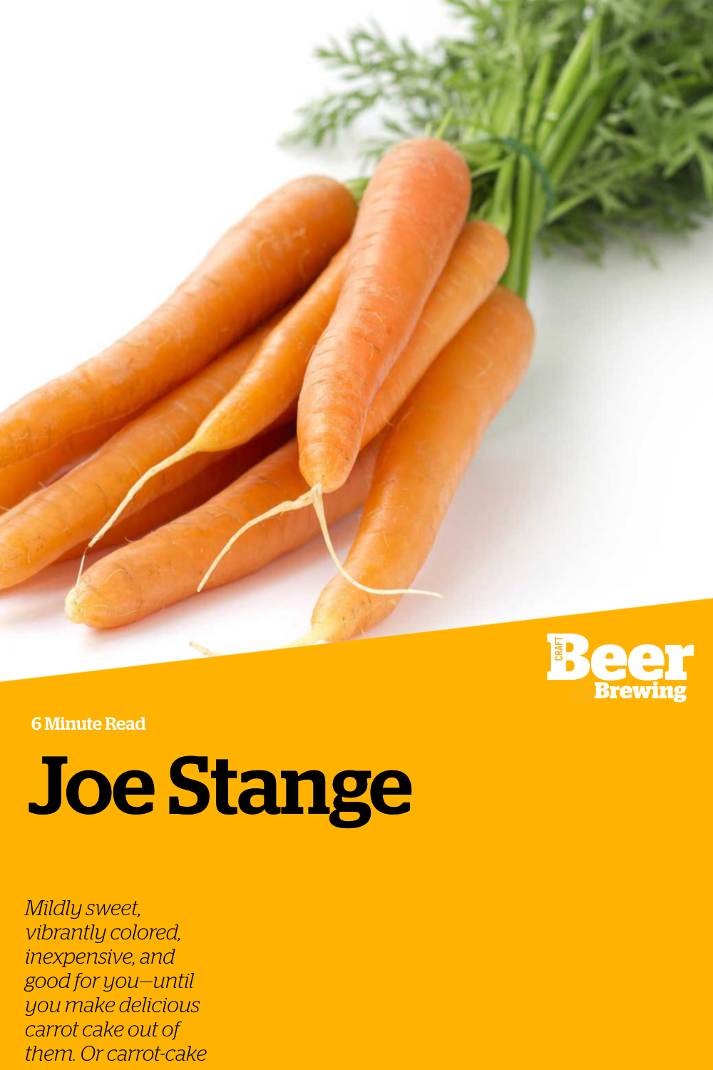 Special Brewing Ingredient: Carrots | Craft Beer & Brewing