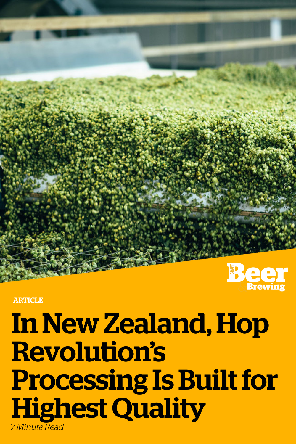 In New Zealand, Hop Revolution’s Processing Is Built for Highest ...