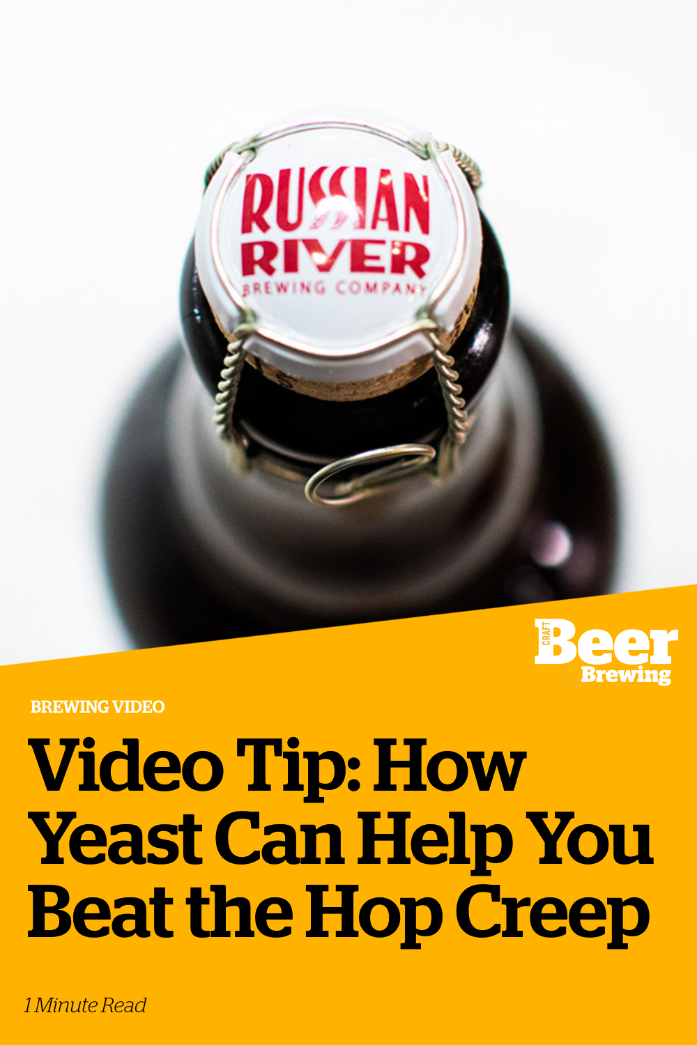 Video Tip: How Yeast Can Help You Beat the Hop Creep | Craft Beer & Brewing