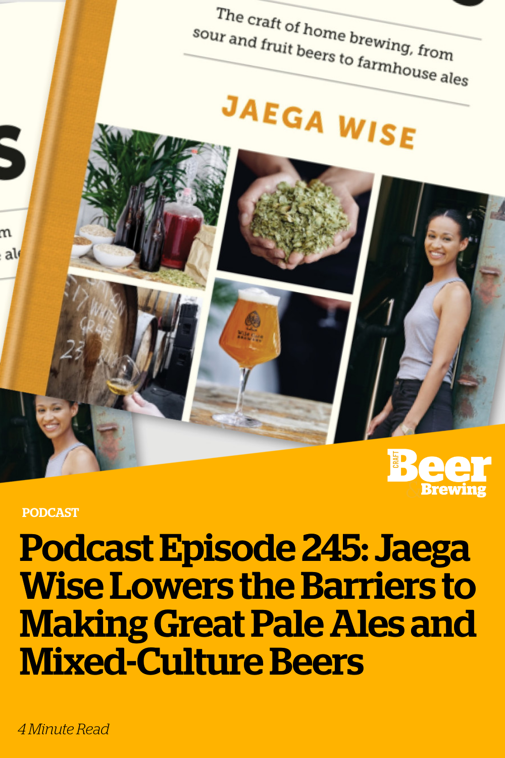 Podcast Episode 245: Jaega Wise Lowers the Barriers to Making Great ...