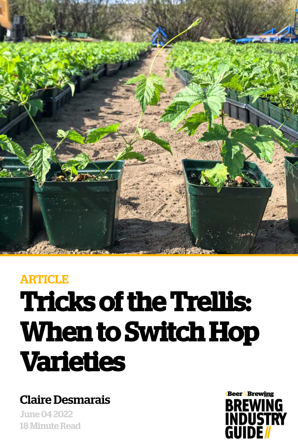 Tricks of the Trellis: When to Switch Hop Varieties | Brewing Industry ...