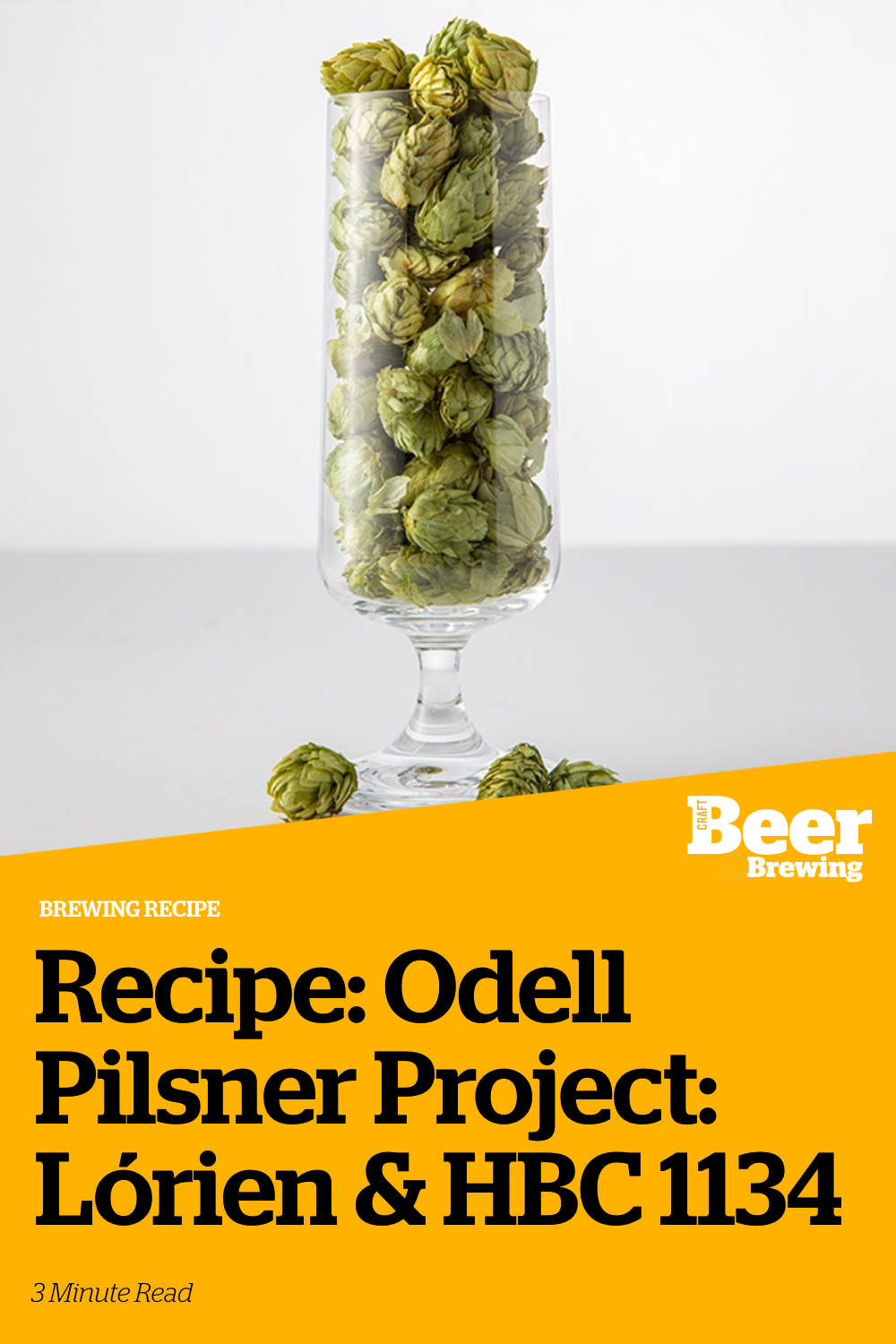 Recipe: Odell Pilsner Project: Lórien & HBC 1134 | Craft Beer & Brewing