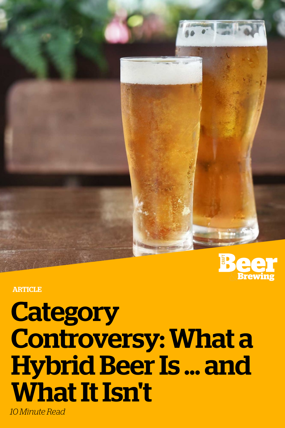 Category Controversy: What a Hybrid Beer Is ... and What It Isn't ...