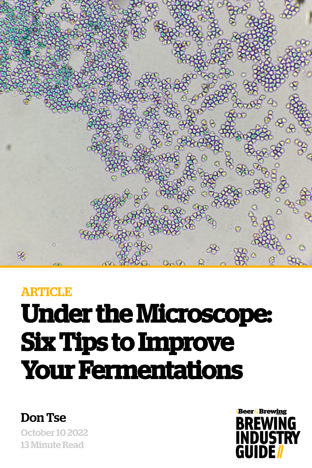Under the Microscope: Six Tips to Improve Your Fermentations | Brewing ...