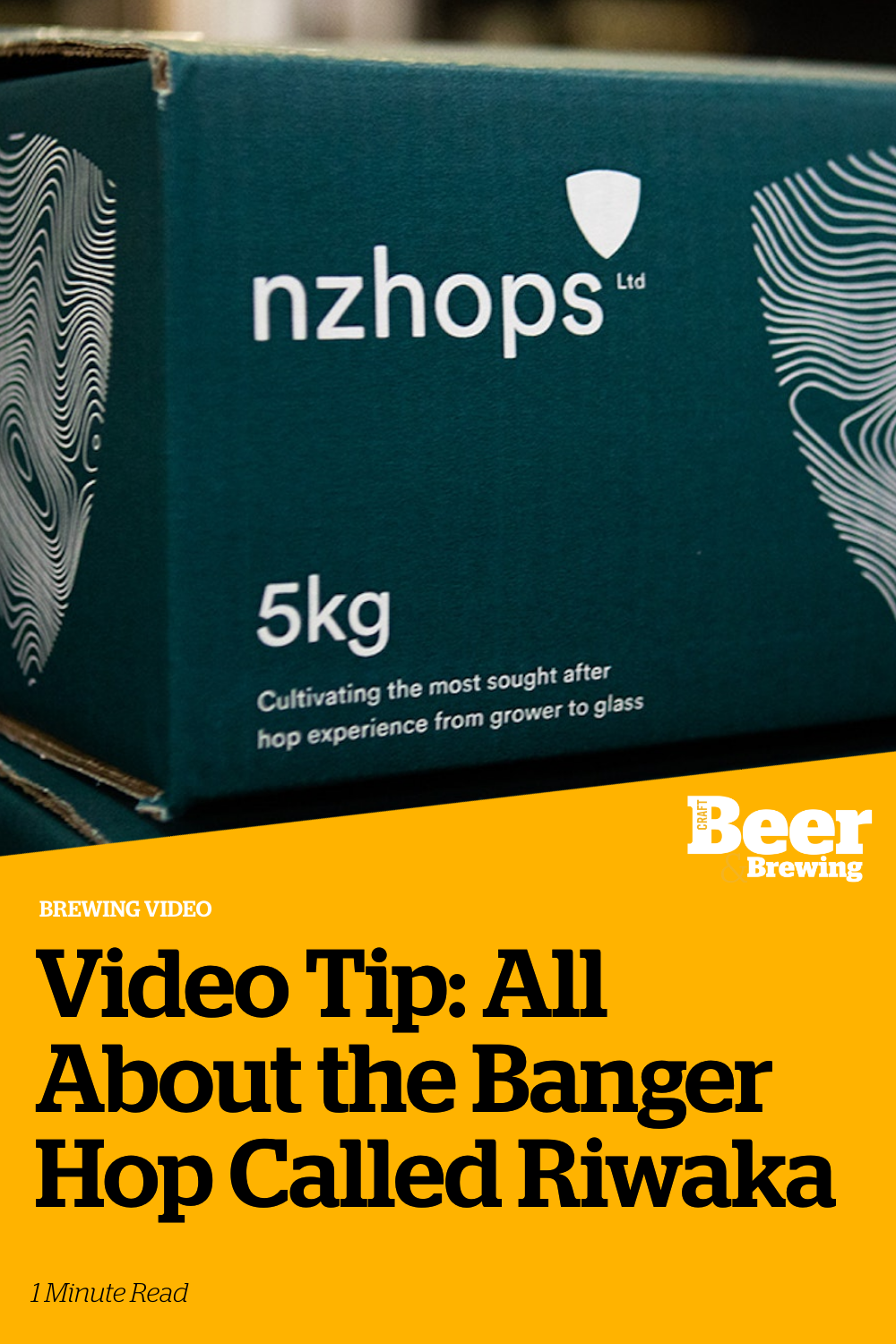 Video Tip: All About the Banger Hop Called Riwaka | Craft Beer & Brewing
