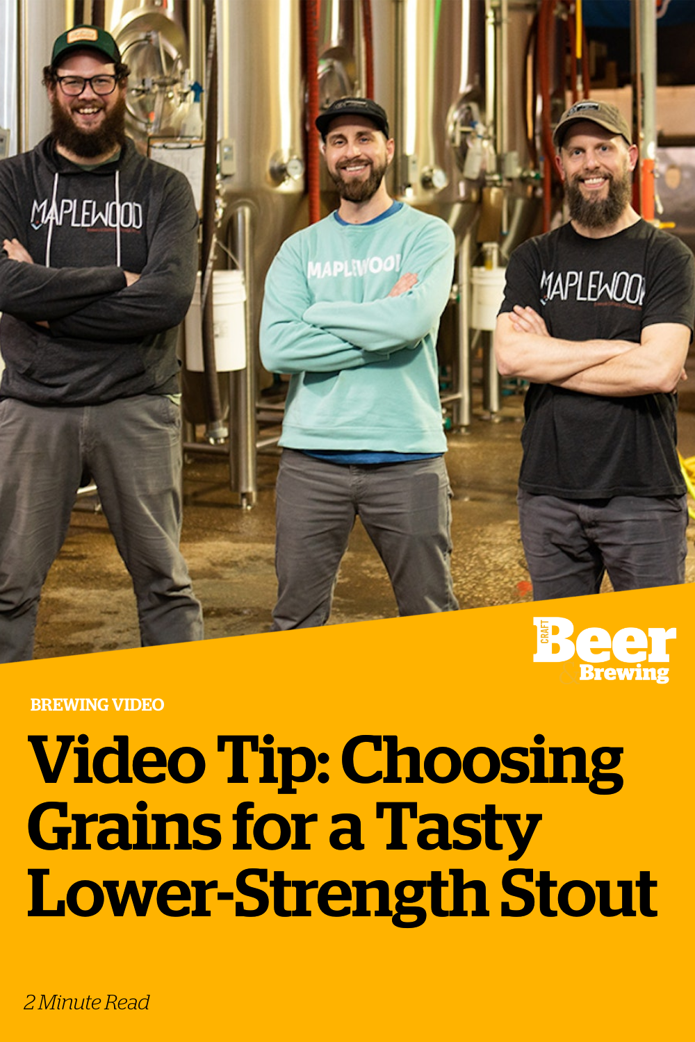 Video Tip: Choosing Grains for a Tasty Lower-Strength Stout | Craft ...