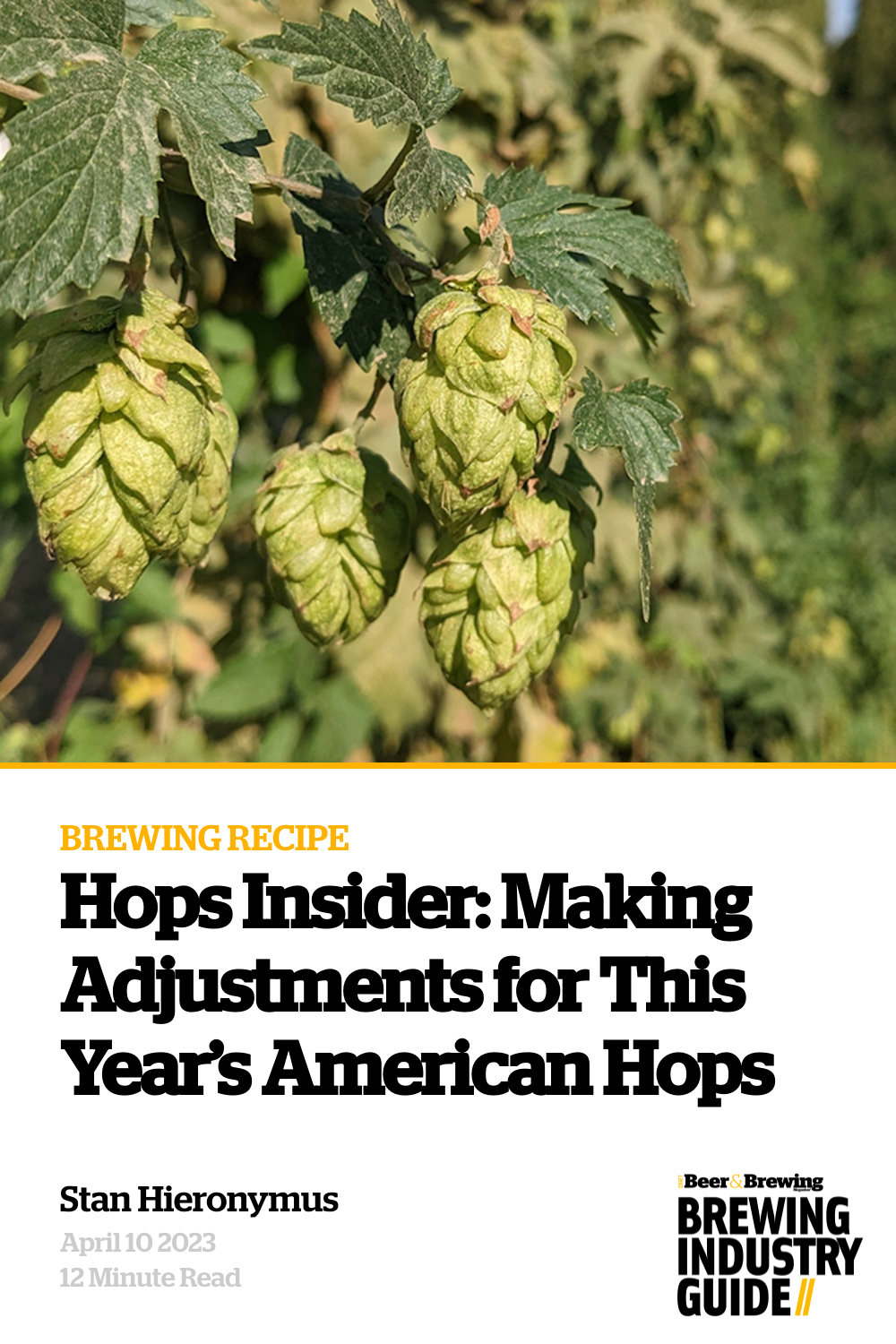 Hops Insider: Making Adjustments for This Year’s American Hops ...