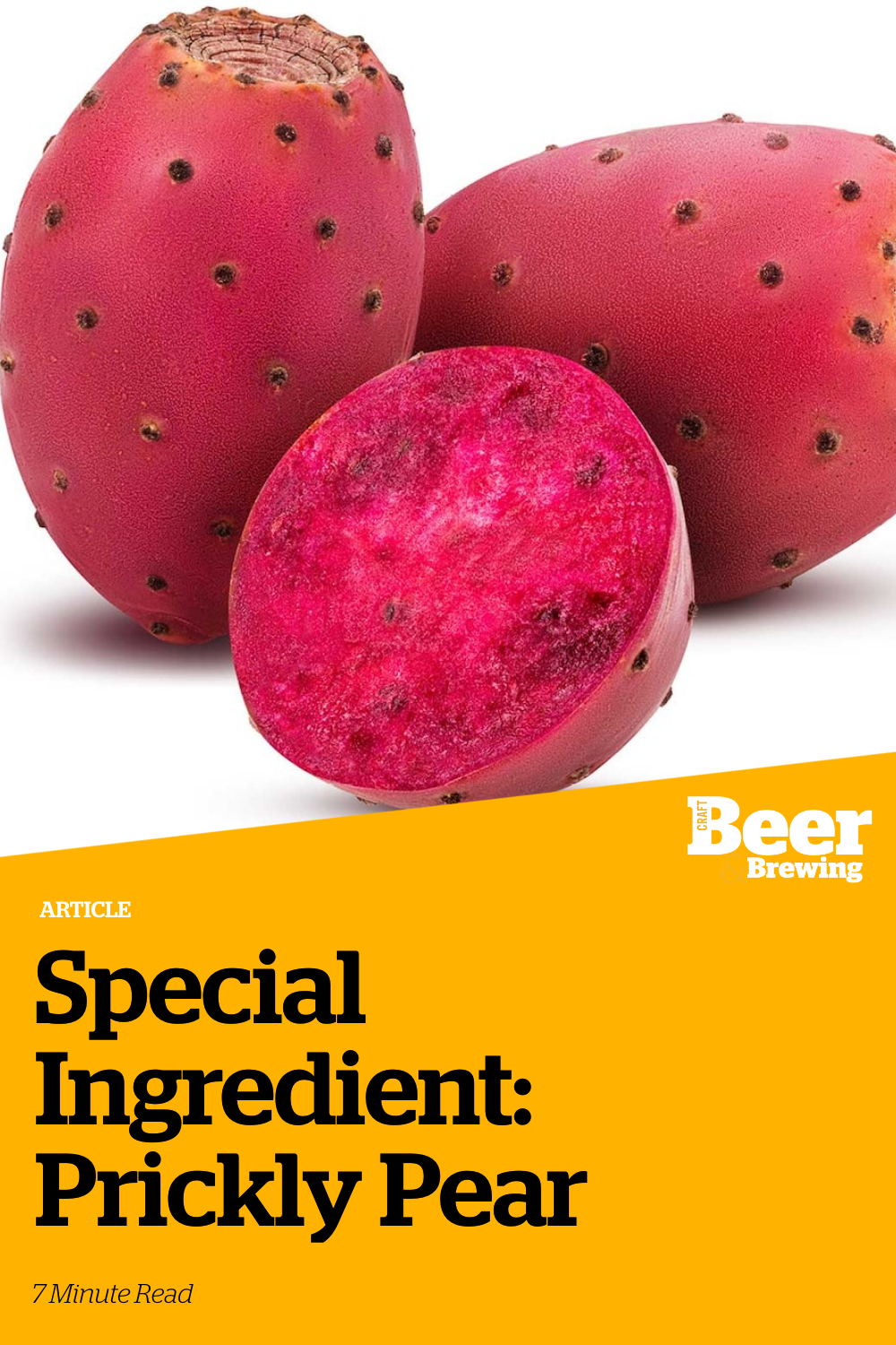 Special Ingredient Prickly Pear Craft Beer Brewing
