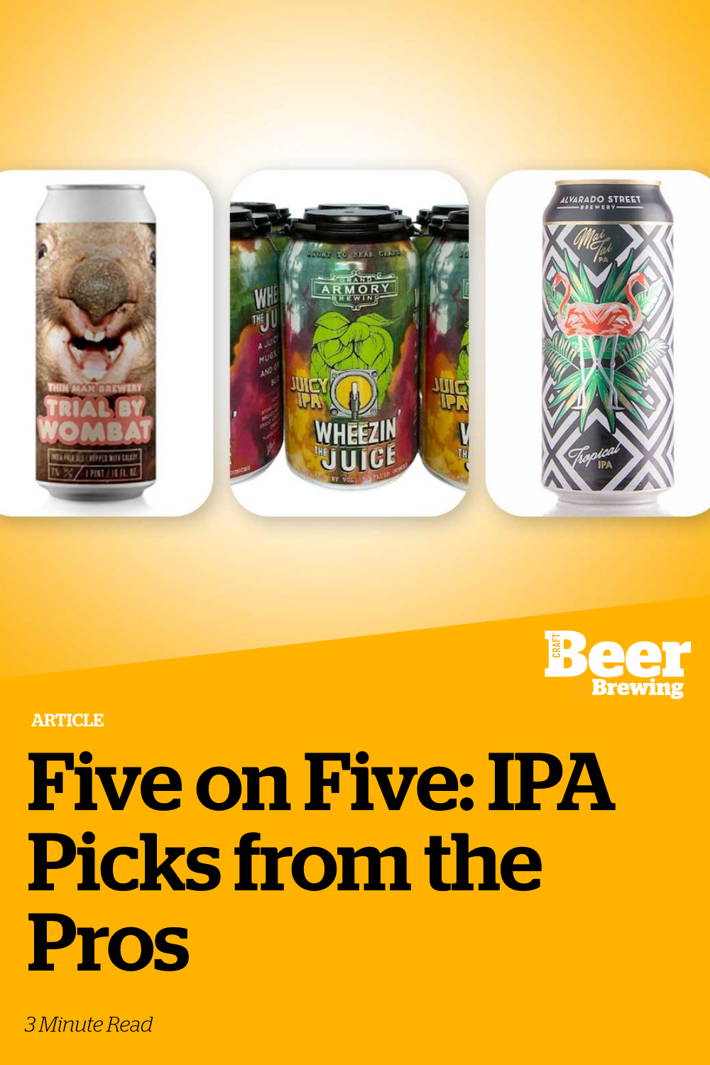 Five on Five: IPA Picks from the Pros | Craft Beer & Brewing
