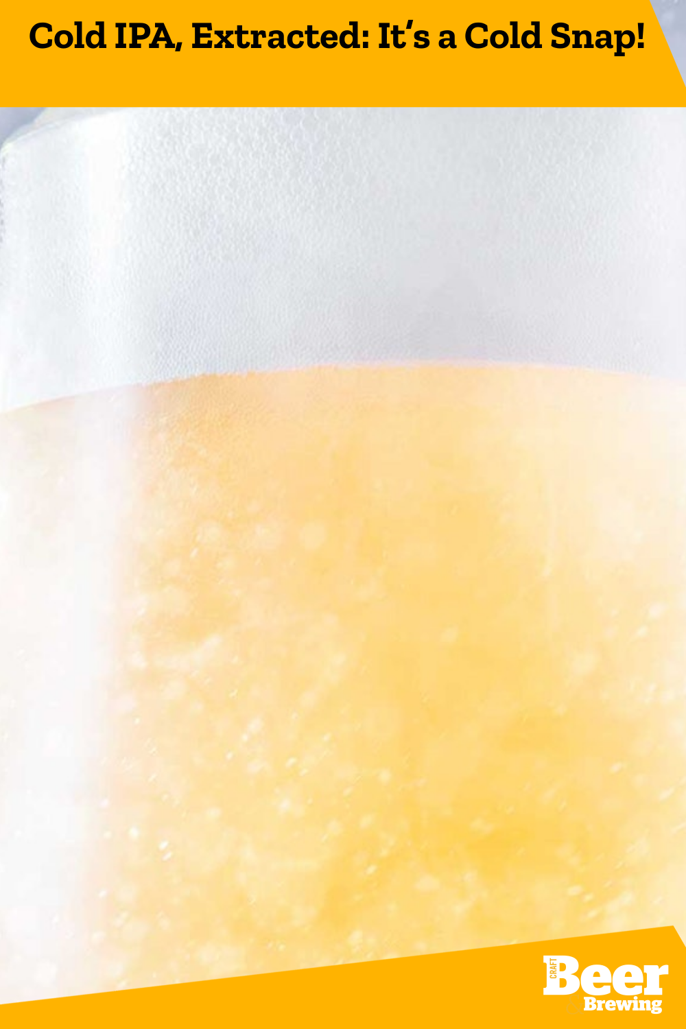 Cold IPA, Extracted: It’s a Cold Snap! | Craft Beer & Brewing
