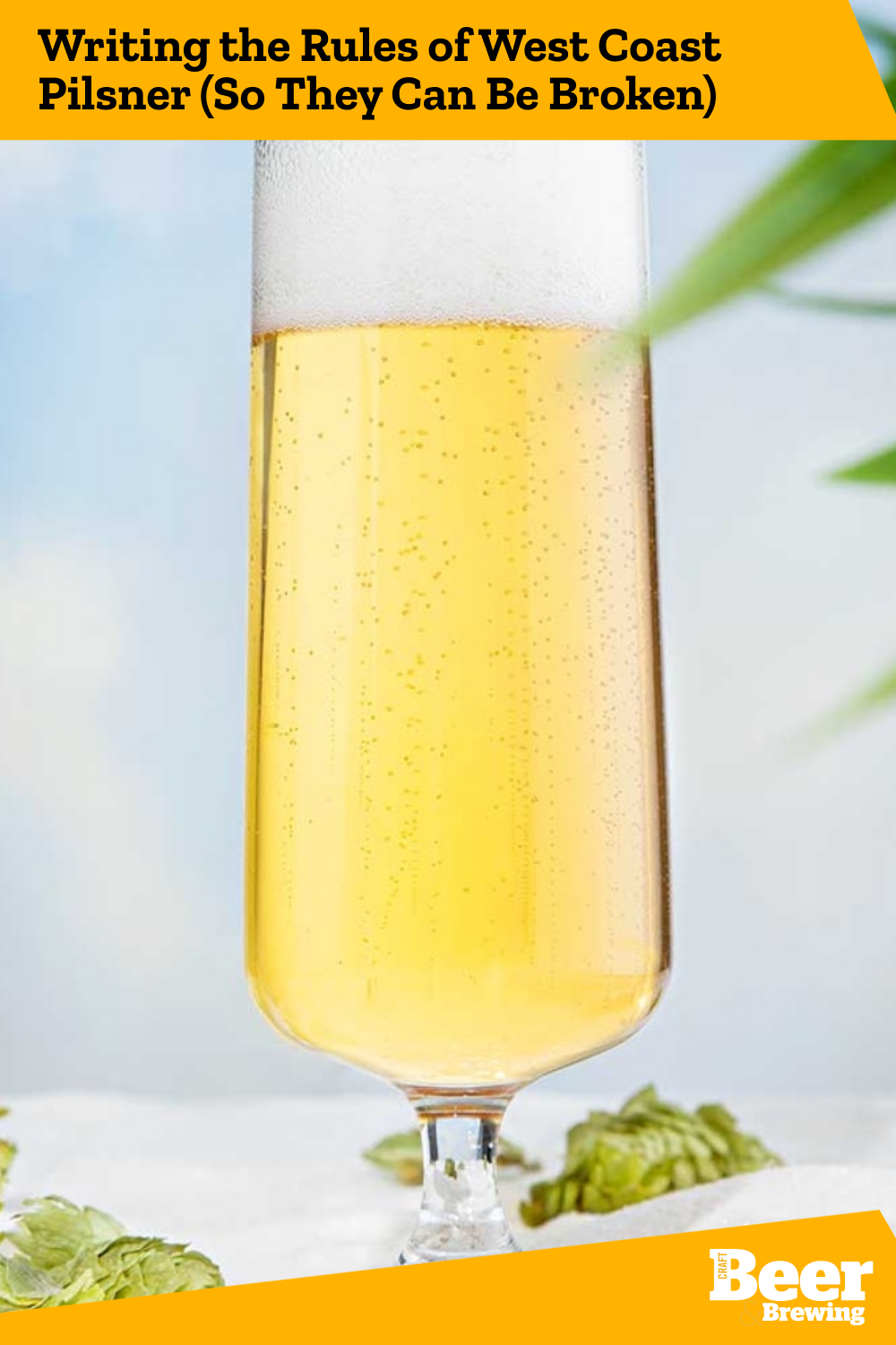 Writing the Rules of West Coast Pilsner (So They Can Be Broken) | Craft ...