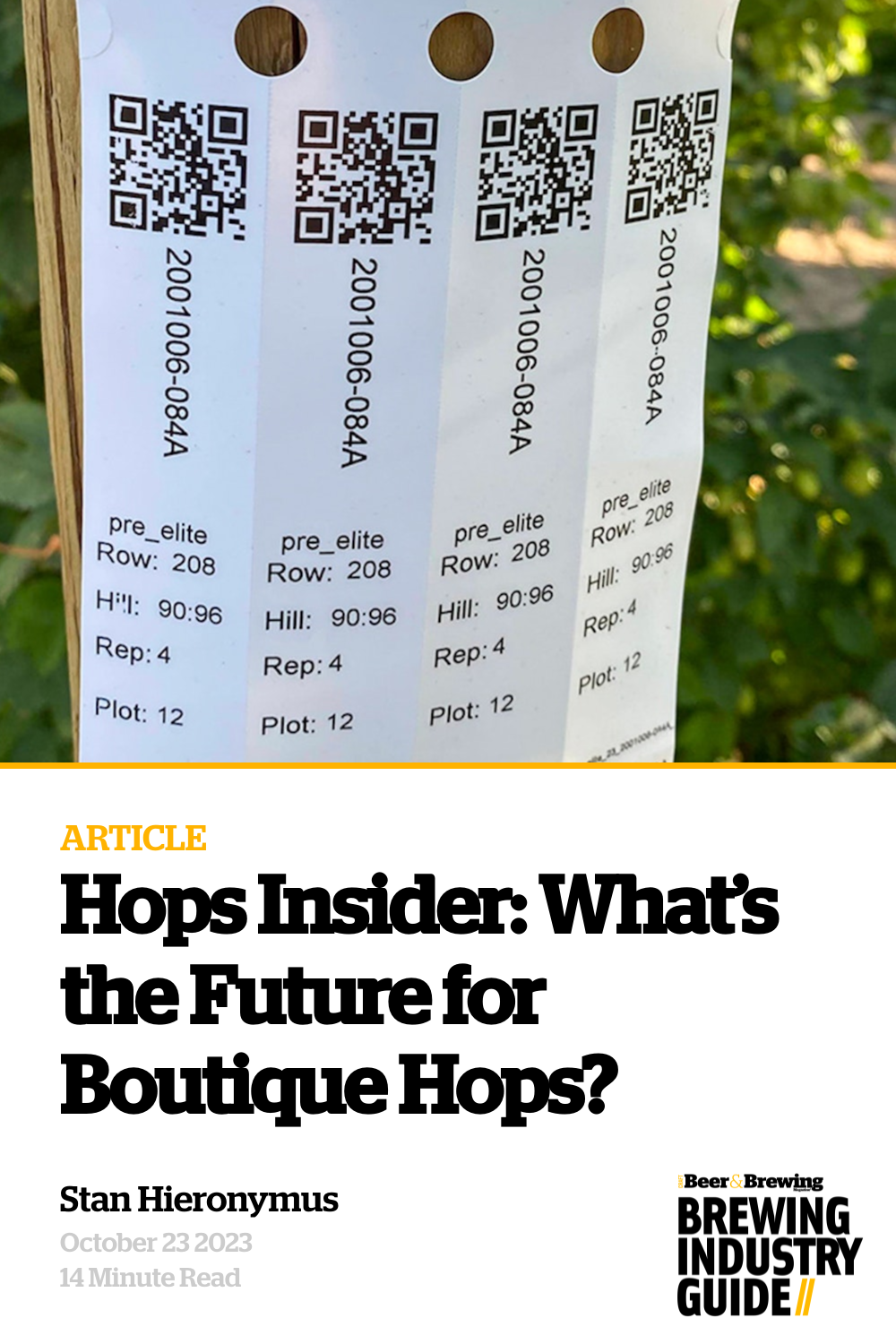 Hops Insider: What’s the Future for Boutique Hops? | Brewing Industry Guide