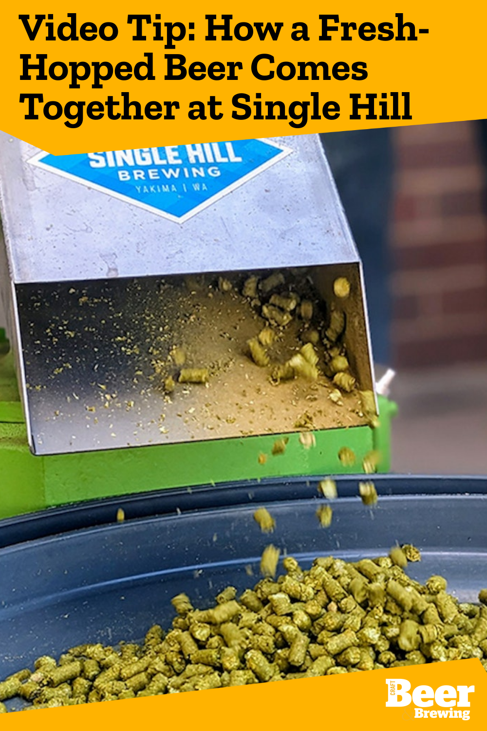 Video Tip: How a Fresh-Hopped Beer Comes Together at Single Hill ...