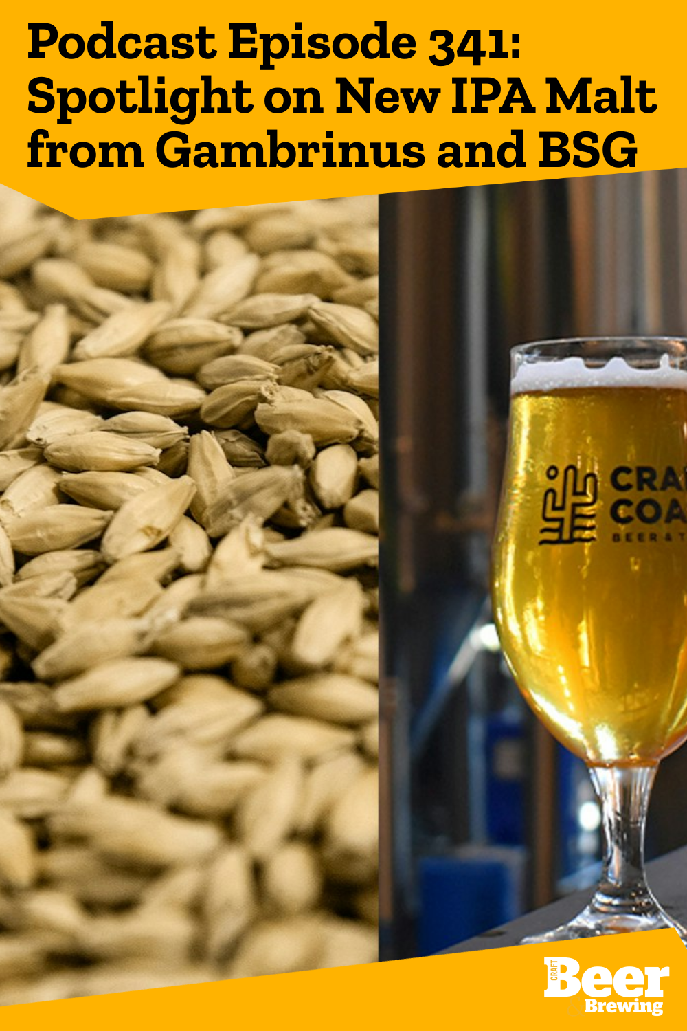 Podcast Episode 341: Spotlight on New IPA Malt from Gambrinus and BSG ...