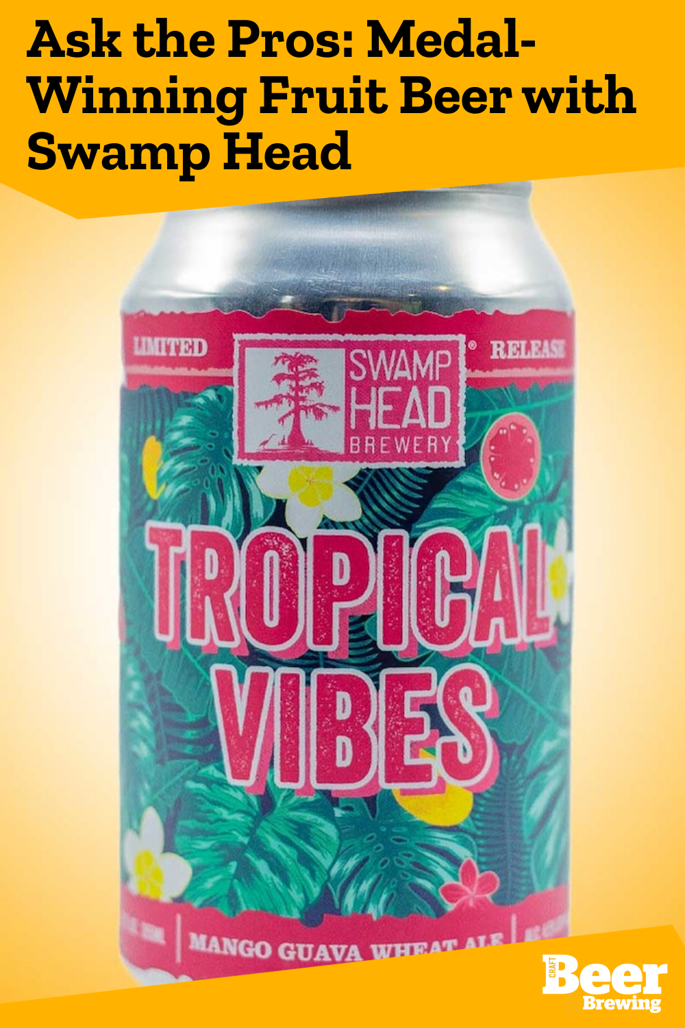 Ask the Pros: Medal-Winning Fruit Beer with Swamp Head | Craft Beer ...