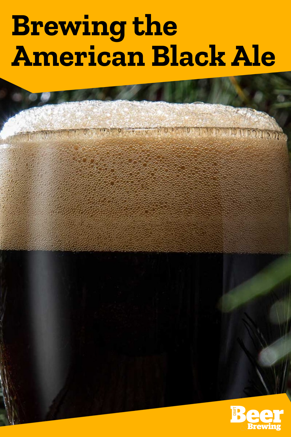 Brewing the American Black Ale | Craft Beer & Brewing