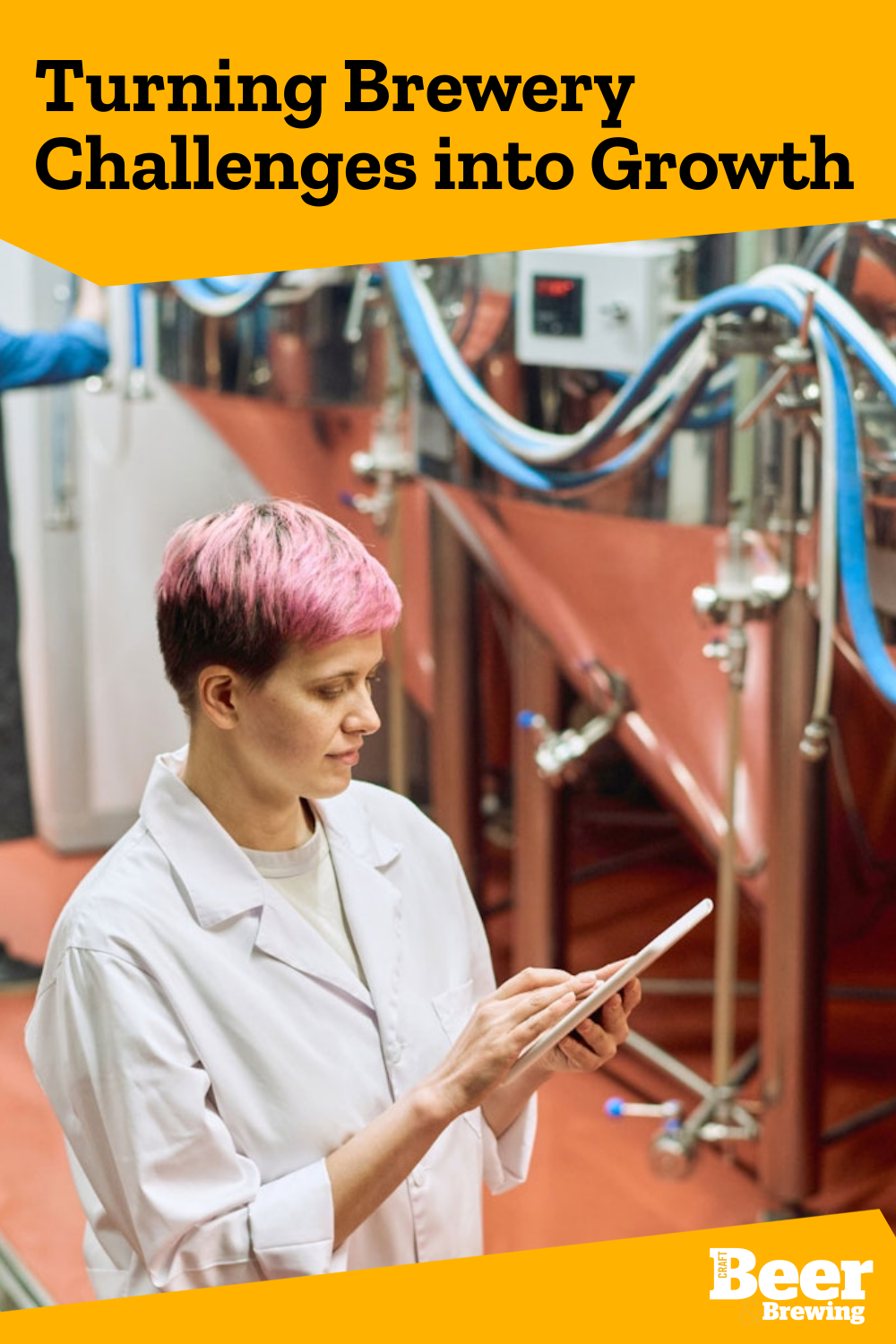 Turning Brewery Challenges into Growth | Craft Beer & Brewing