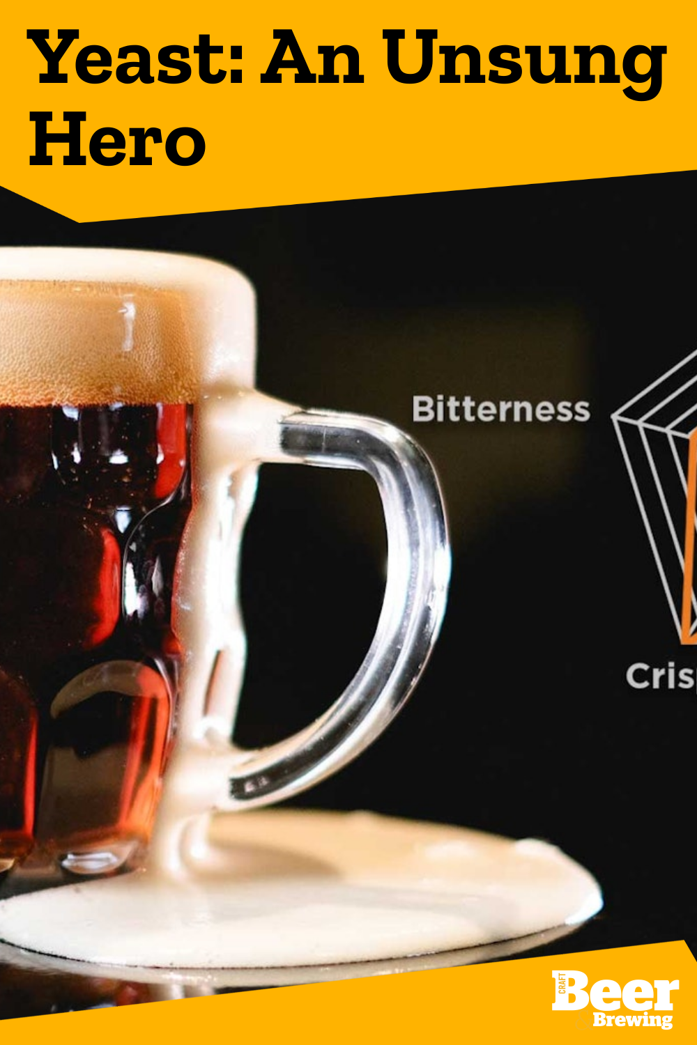 Yeast: An Unsung Hero | Craft Beer & Brewing
