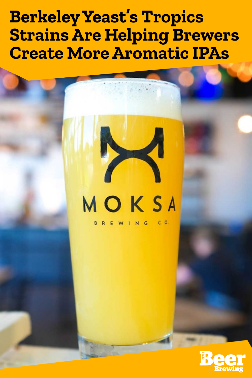 Berkeley Yeast’s Tropics Strains Are Helping Brewers Create More ...