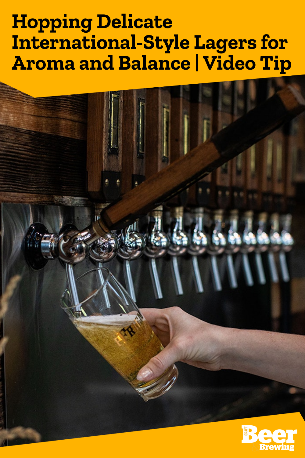 Hopping Delicate International-Style Lagers for Aroma and Balance ...