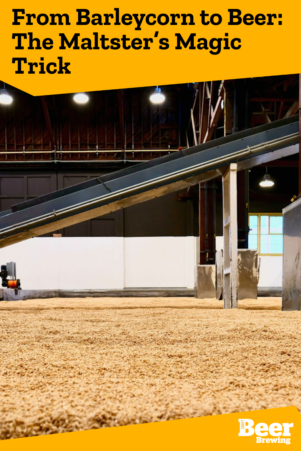 From Barleycorn to Beer: The Maltster’s Magic Trick | Craft Beer & Brewing