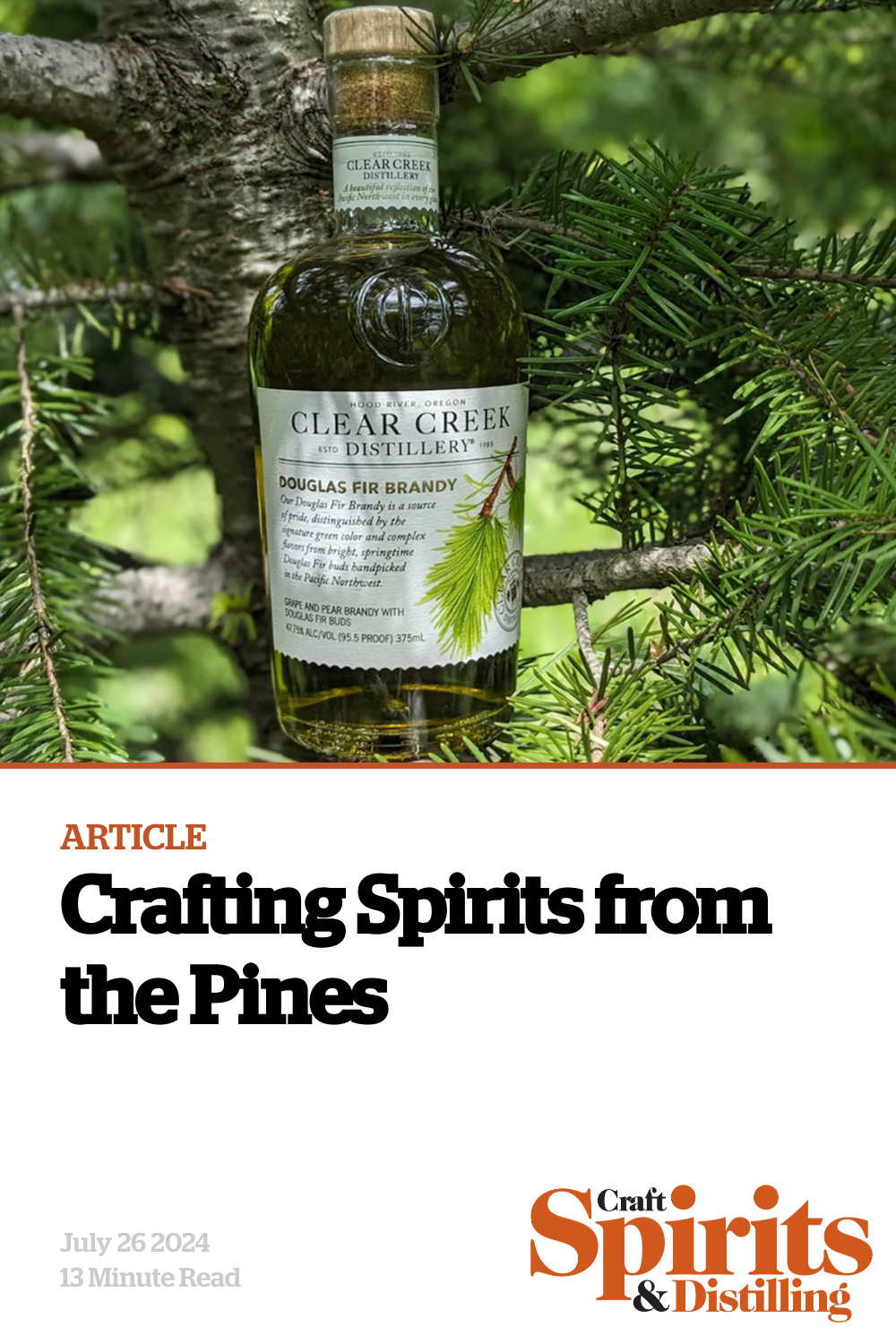 Crafting Spirits from the Pines | Spirits & Distilling