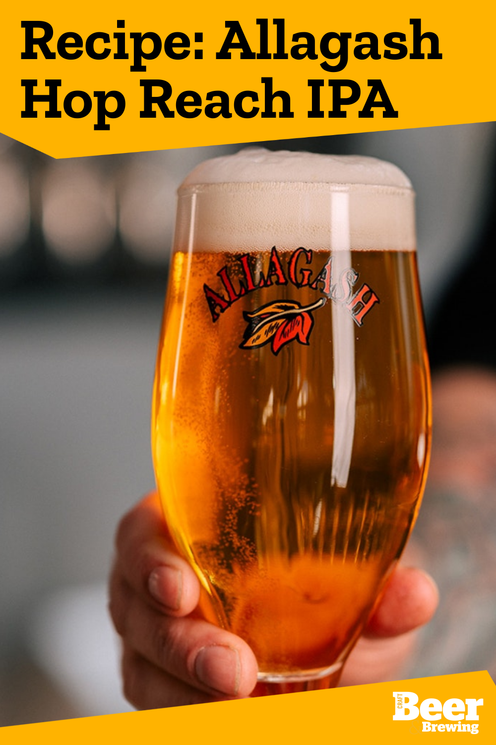 Recipe: Allagash Hop Reach IPA | Craft Beer & Brewing