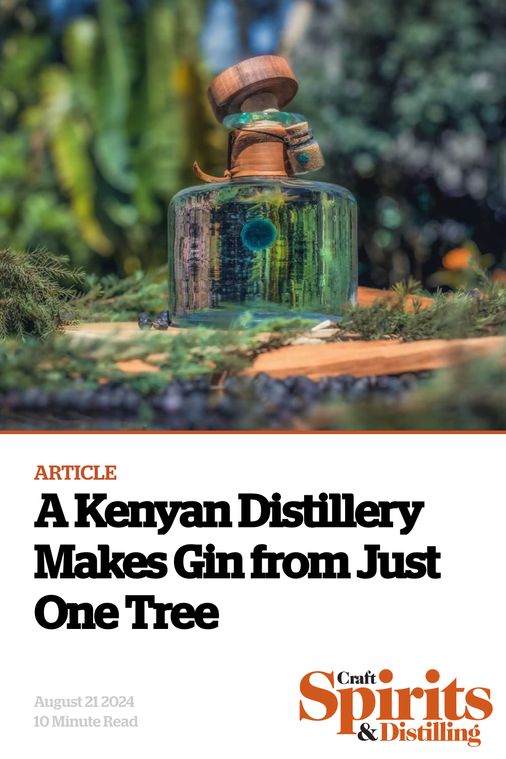 A Kenyan Distillery Makes Gin from Just One Tree | Craft Spirits ...