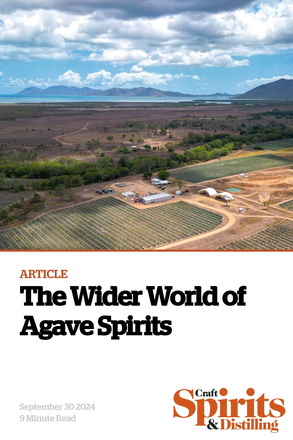 The Wider World of Agave Spirits | Craft Spirits & Distilling