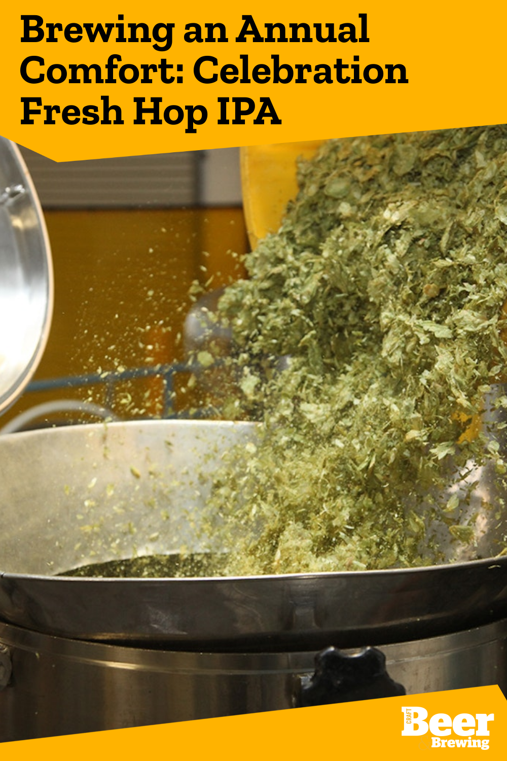 Brewing an Annual Comfort: Celebration Fresh Hop IPA | Craft Beer & Brewing