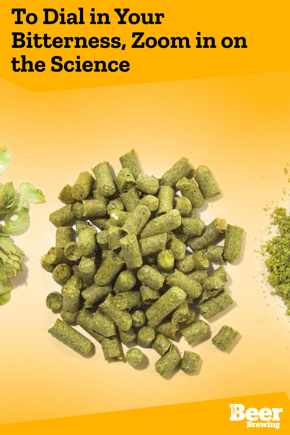 To Dial in Your Bitterness, Zoom in on the Science | Craft Beer & Brewing