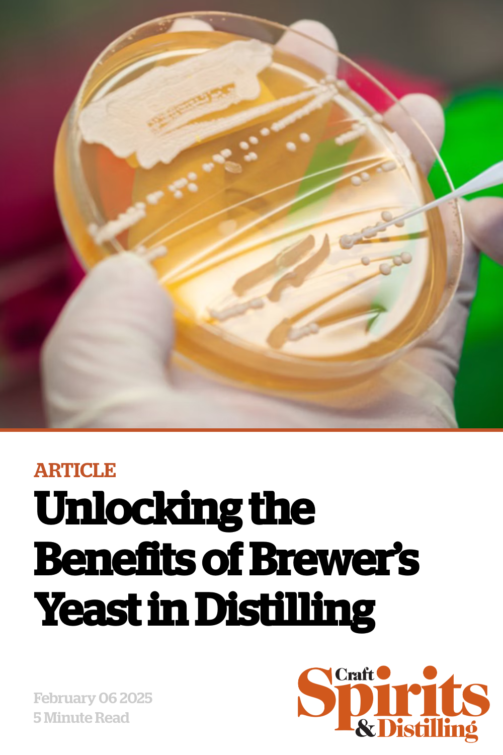Unlocking the Benefits of Brewer’s Yeast in Distilling | Spirits ...