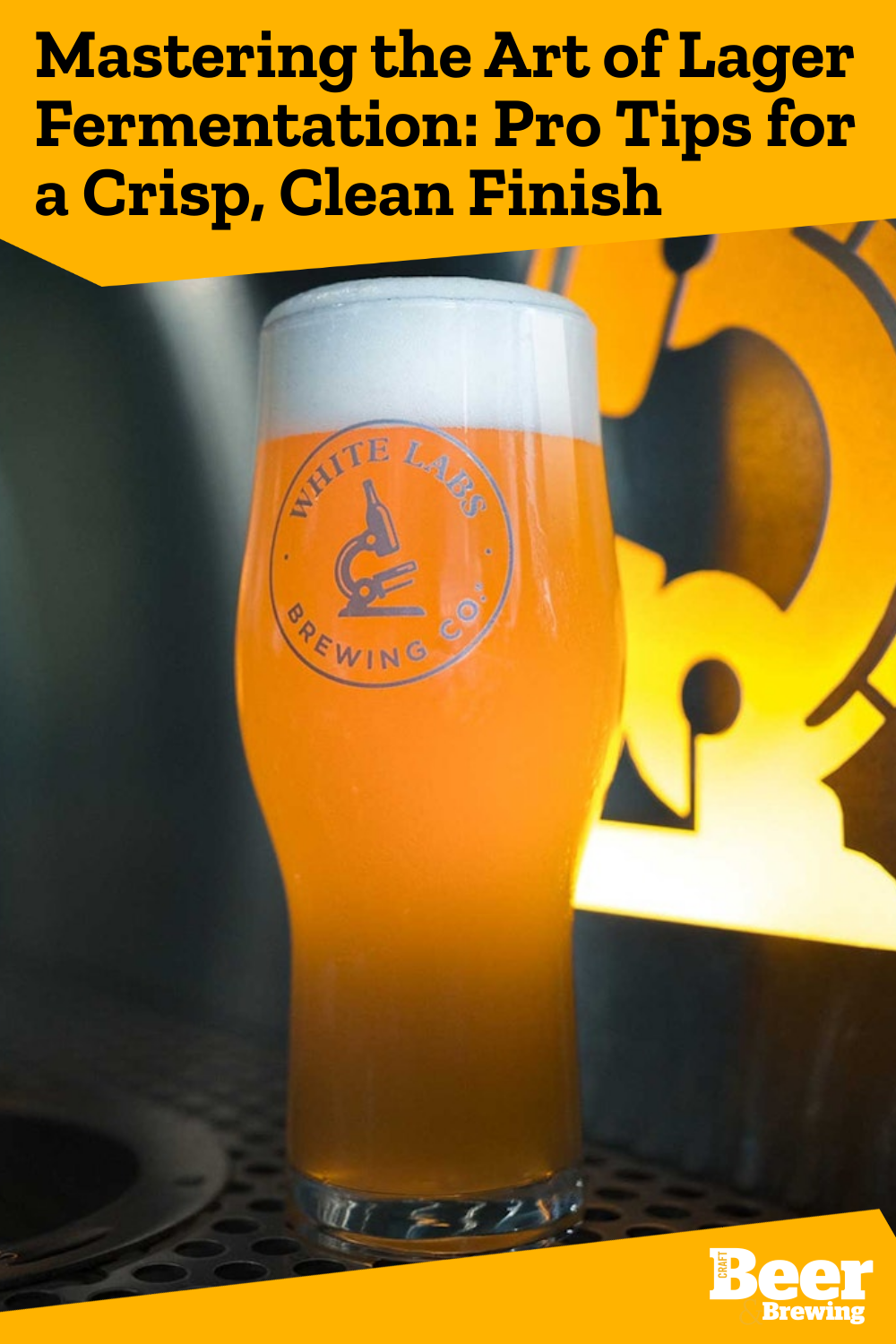 Mastering the Art of Lager Fermentation: Pro Tips for a Crisp, Clean Finish | Craft Beer & Brewing
