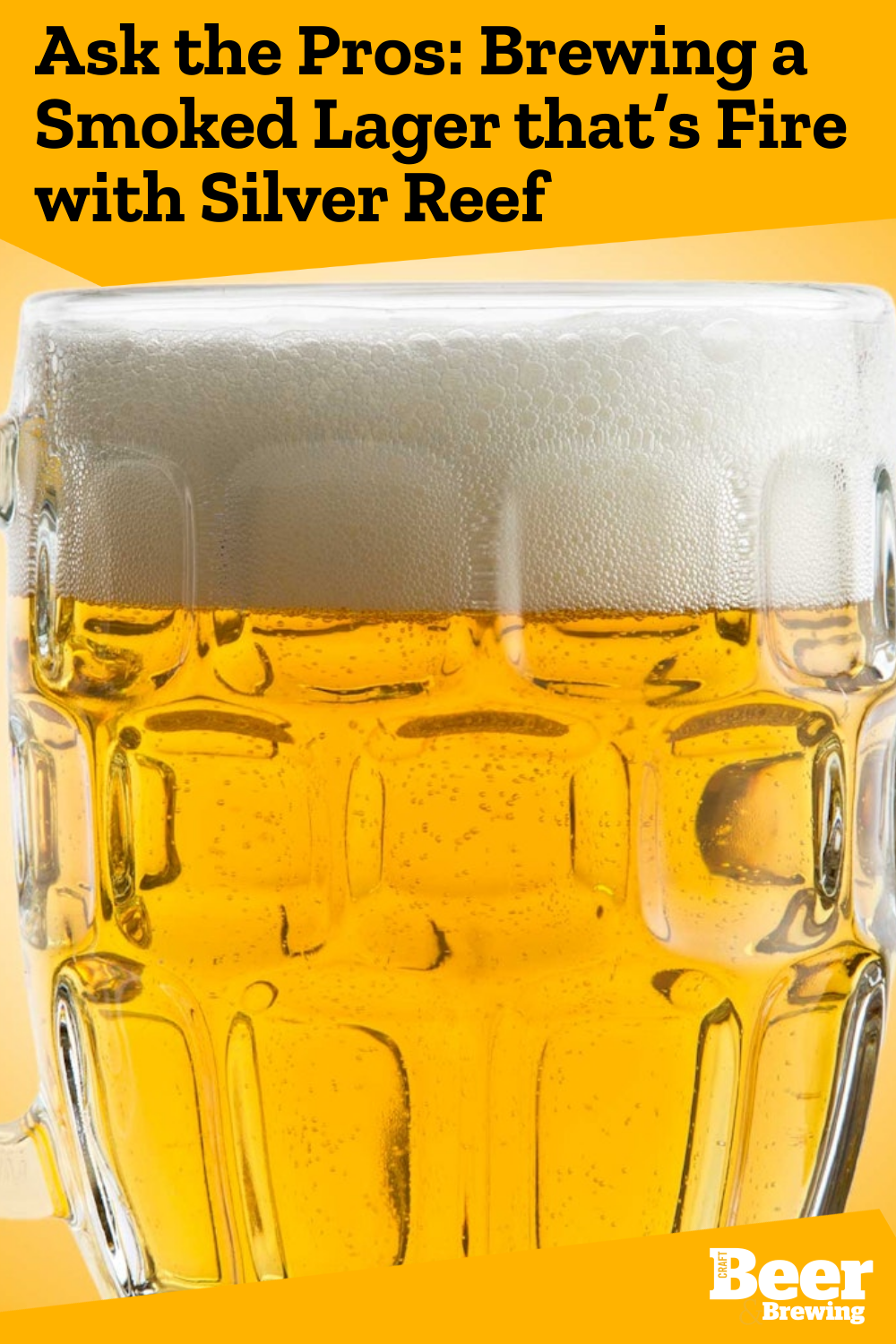 Ask the Pros: Brewing a Smoked Lager that’s Fire, with Silver Reef ...