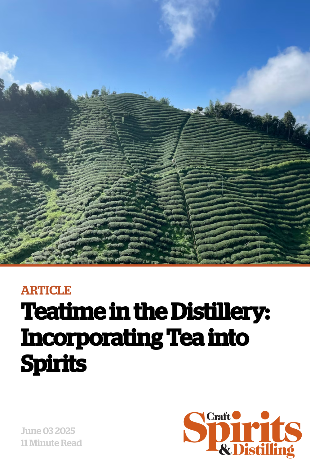 Teatime in the Distillery: Incorporating Tea into Spirits | Spirits ...