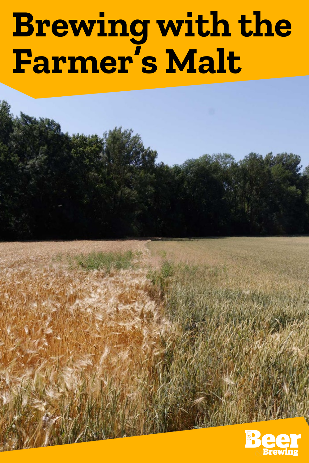 Brewing with the Farmer’s Malt | Craft Beer & Brewing
