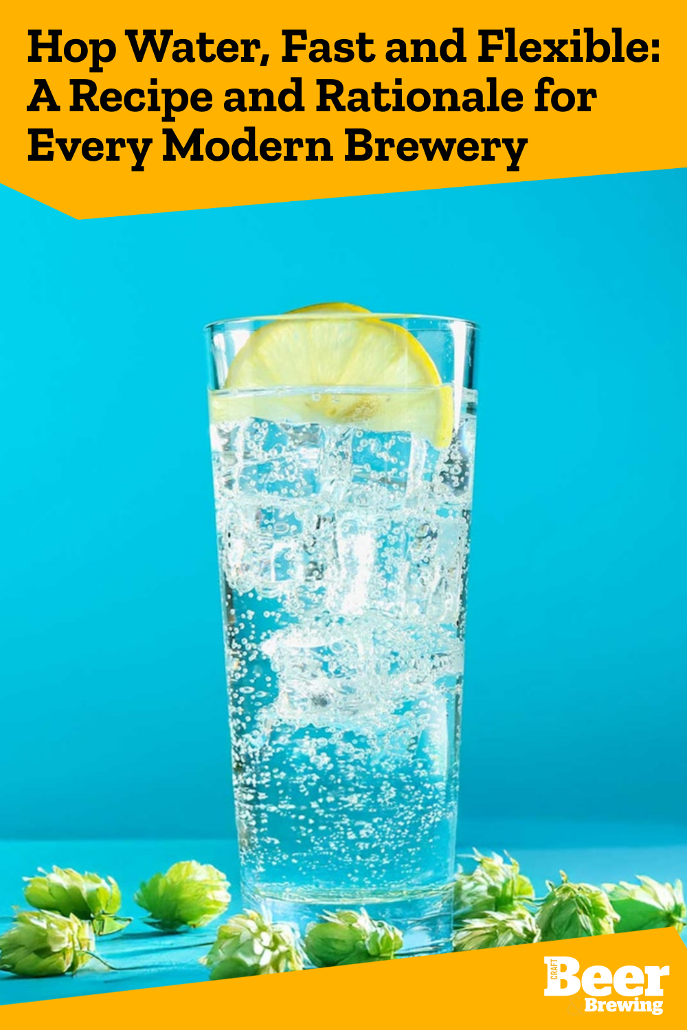 Hop Water, Fast and Flexible: A Recipe and Rationale for Every Modern ...