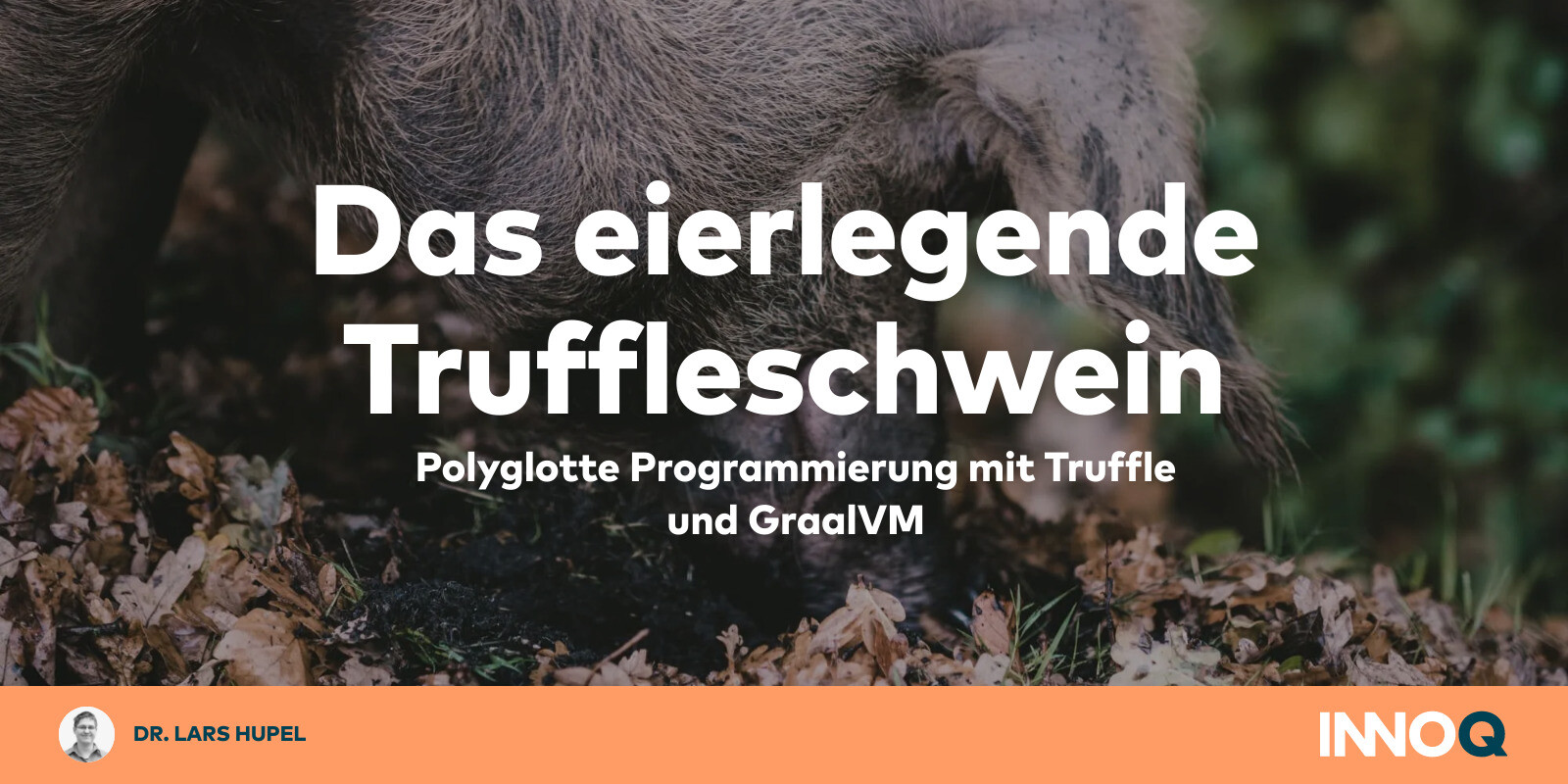 Das eierlegende Truffleschwein — Polyglotte Programmierung mit Truffle ...