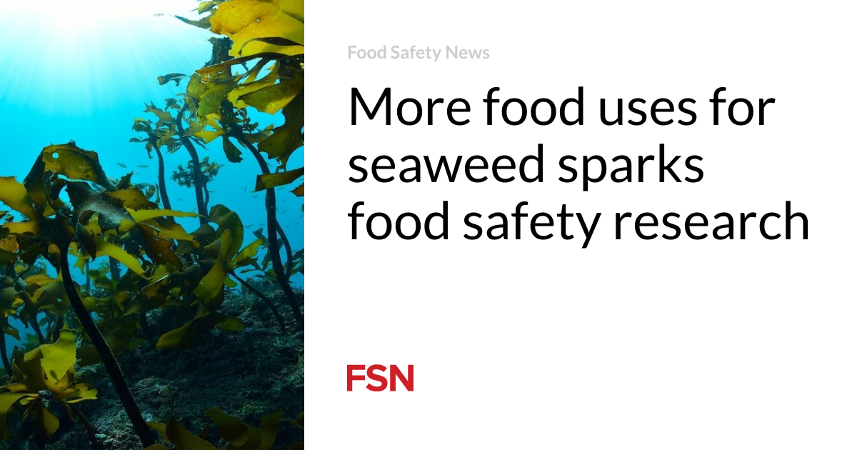More food uses for seaweed sparks food safety research | Food Safety News