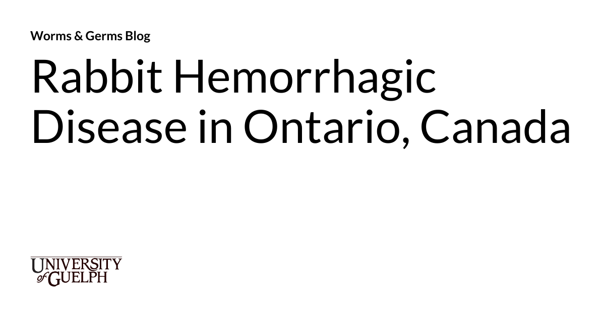 Rabbit Hemorrhagic Disease in Ontario, Canada | Worms & Germs Blog