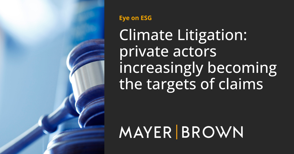 Climate Litigation: private actors increasingly becoming the targets of ...