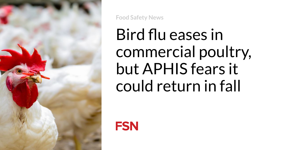 Bird flu eases in commercial poultry, but APHIS fears it could return ...